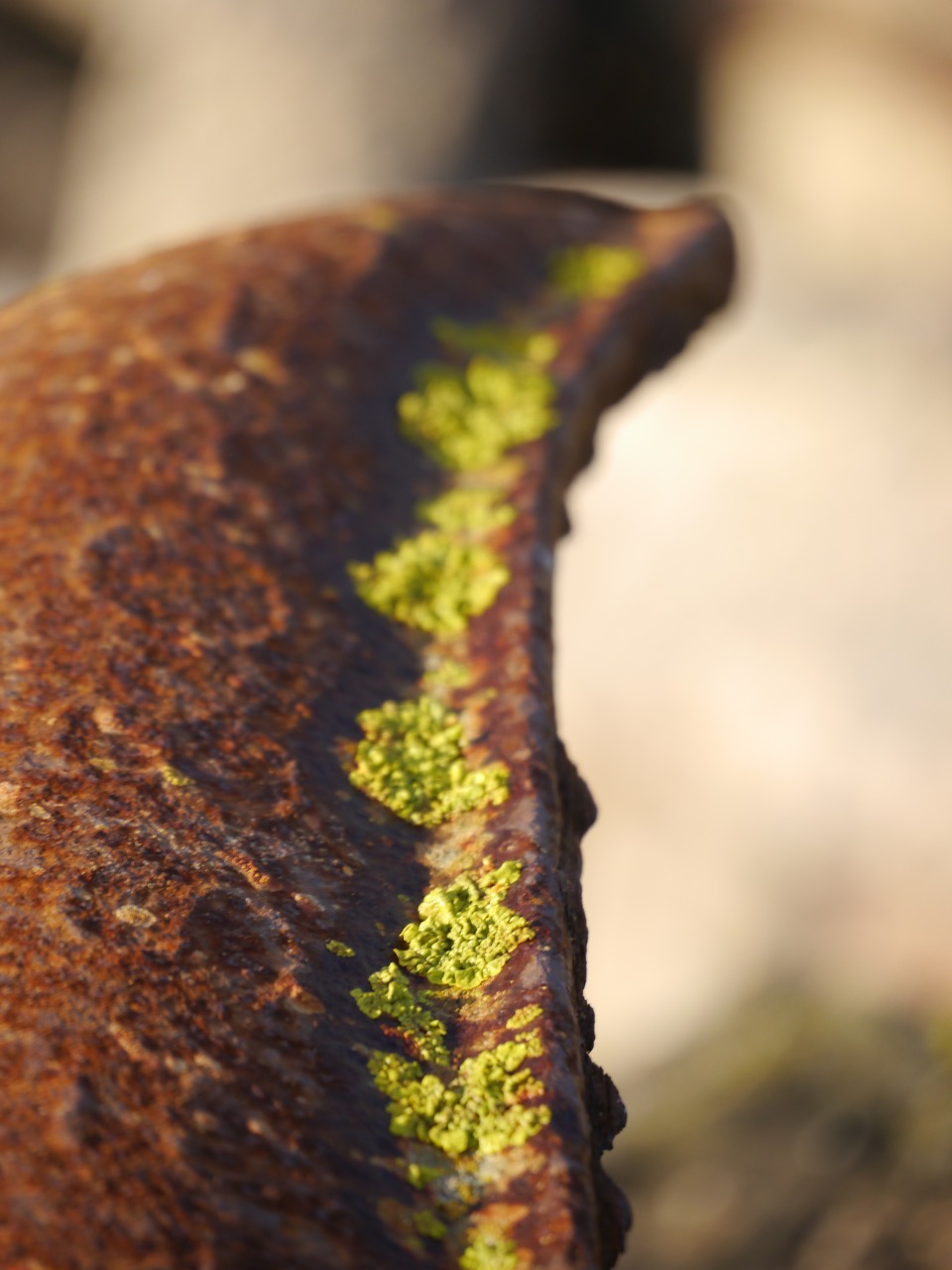 Splott Beach: my edgeland | We Are Cardiff