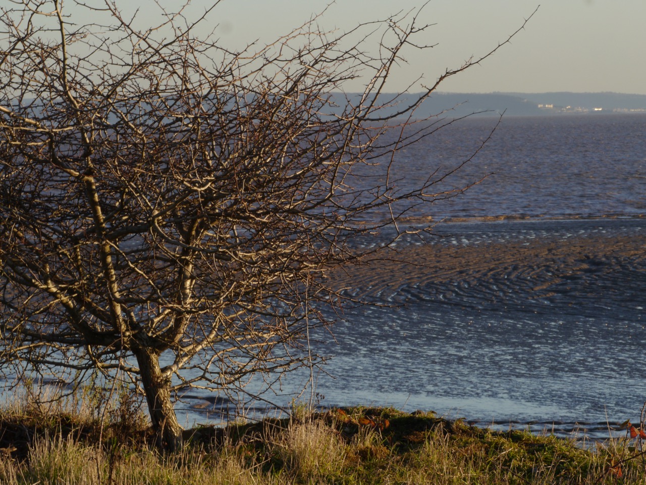 Splott Beach: my edgeland | We Are Cardiff